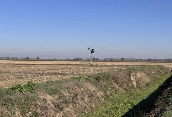L’agricoltura italiana scommette sulla sostenibilità come fattore di ...