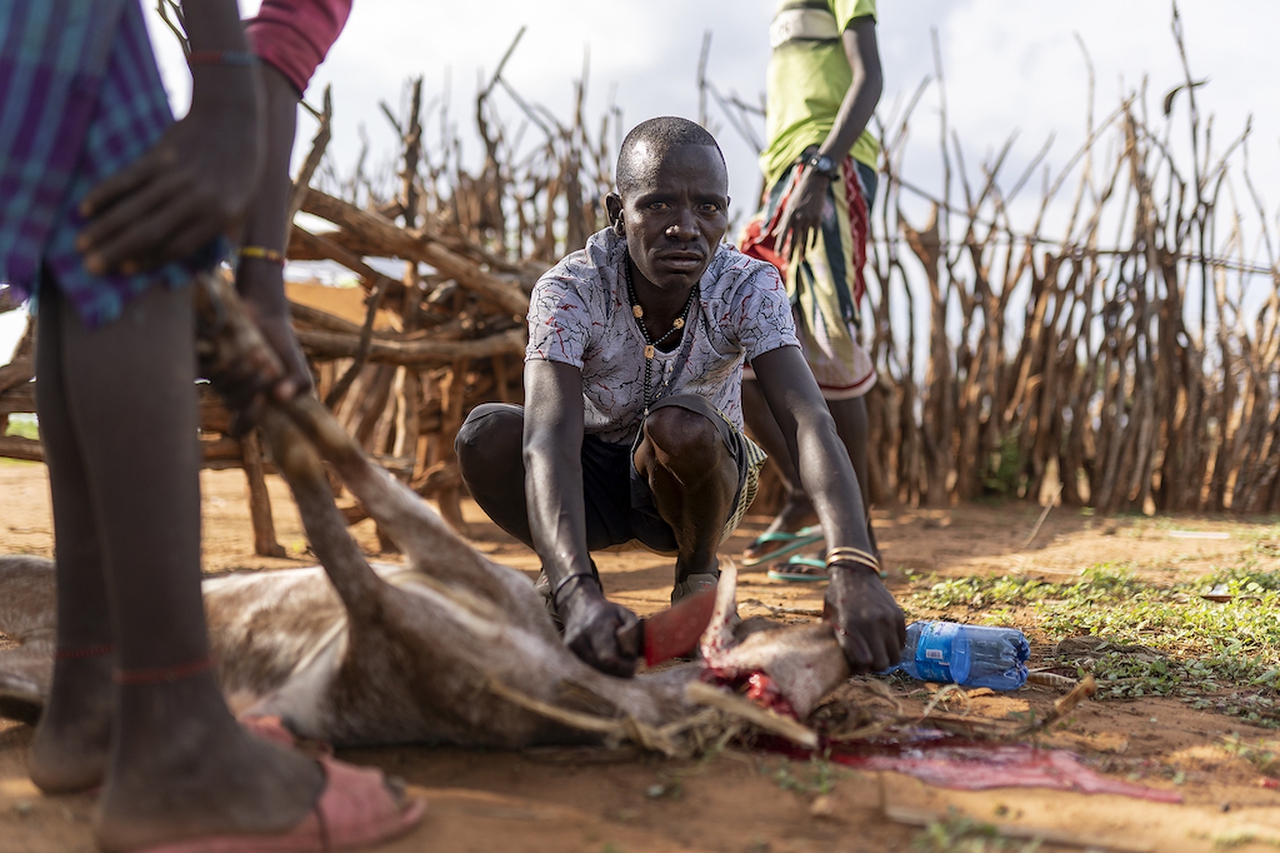 Lower Omo Valley, Hamer tribe goat rituals - LifeGate