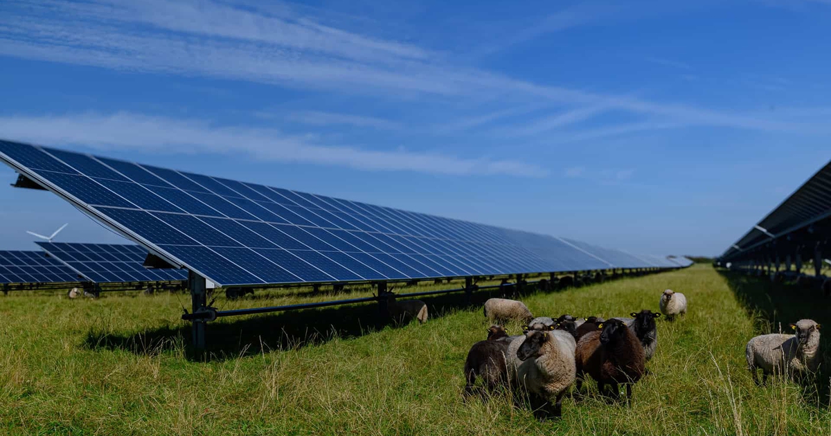 Agrivoltaico ai nastri di partenza, arrivano i primi impianti - LifeGate