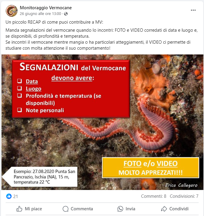 Vermocane: cosa sappiamo sul verme di fuoco e la sua puntura - LifeGate