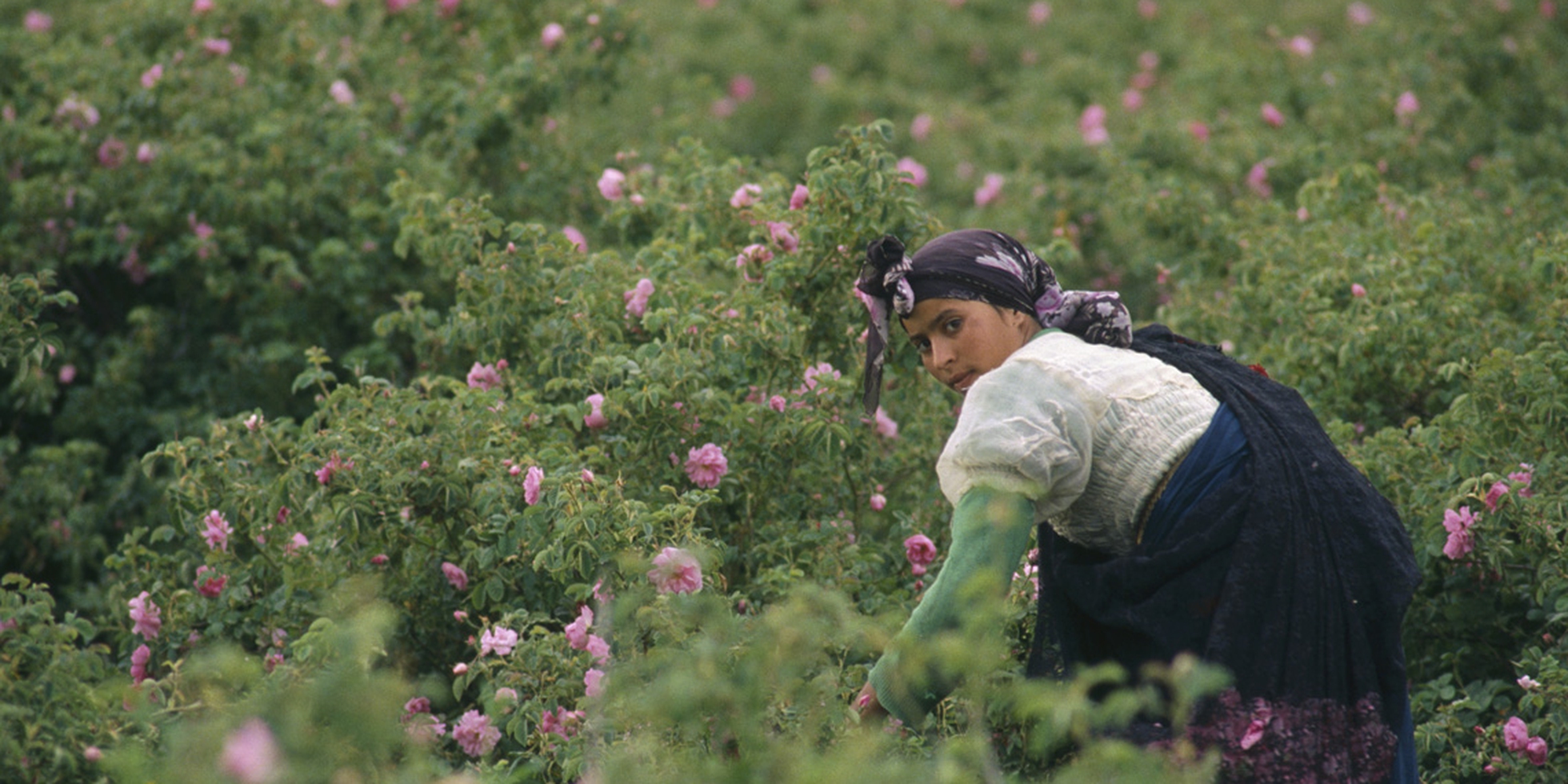Morocco, the empowerment of Berber women starts from a rose - LifeGate