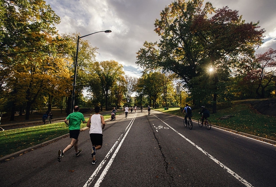 E120. Cos’è e dove si trova oggi il colorante fatto con insetti, la ...