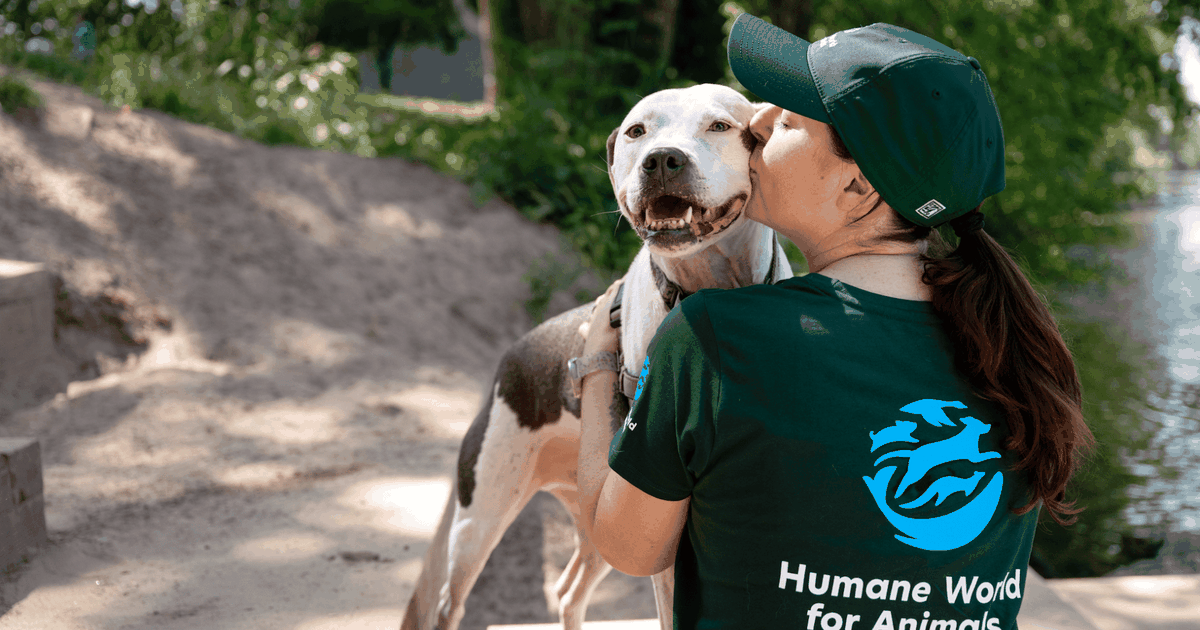 Humane world ofr animals: - LifeGate