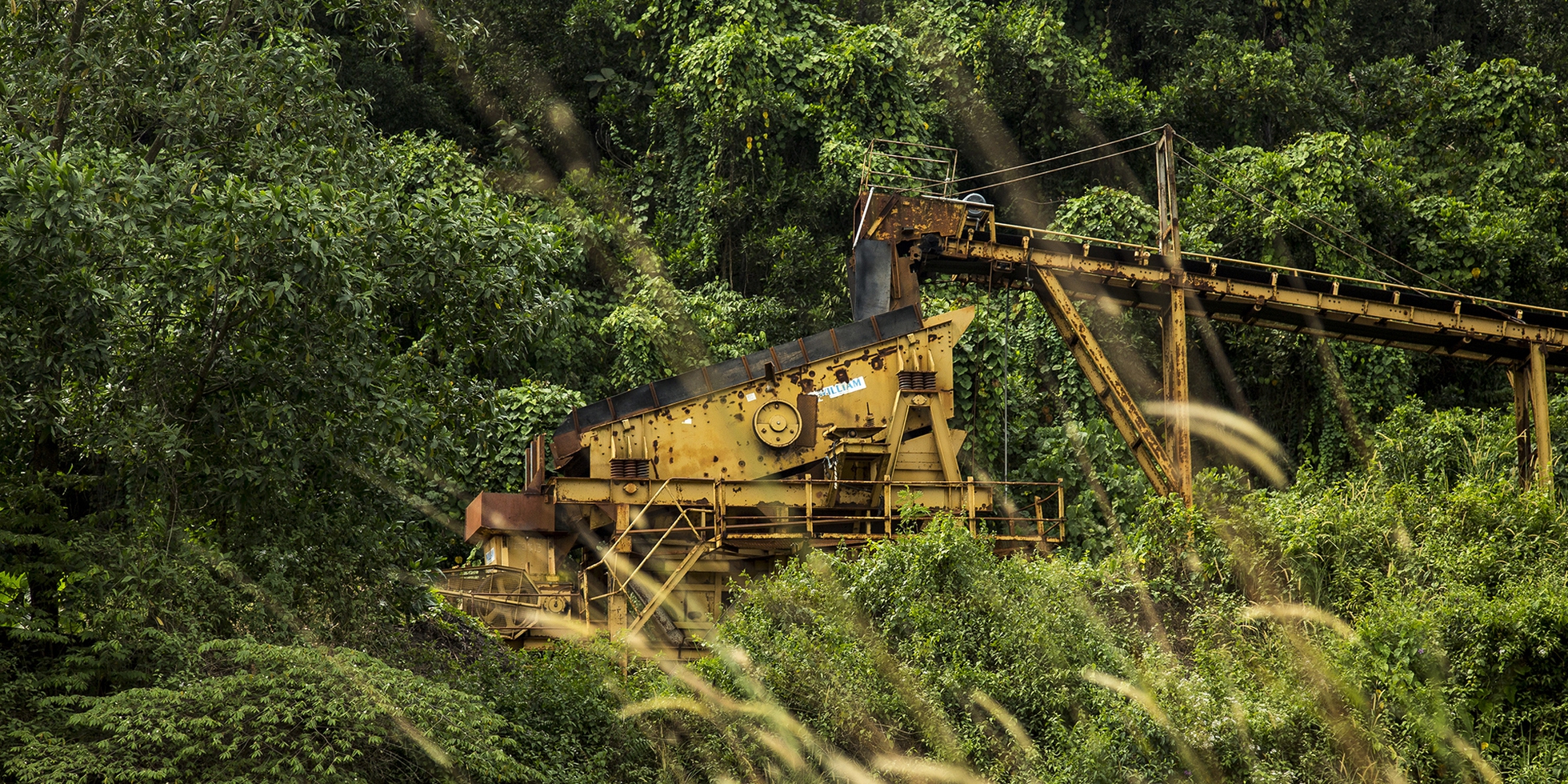 20 anni di deforestazione per miniere: persa area grande come Valle d ...