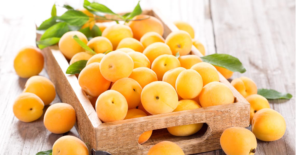Cibi estivi: quali sono, proprietà e ricette - LifeGate