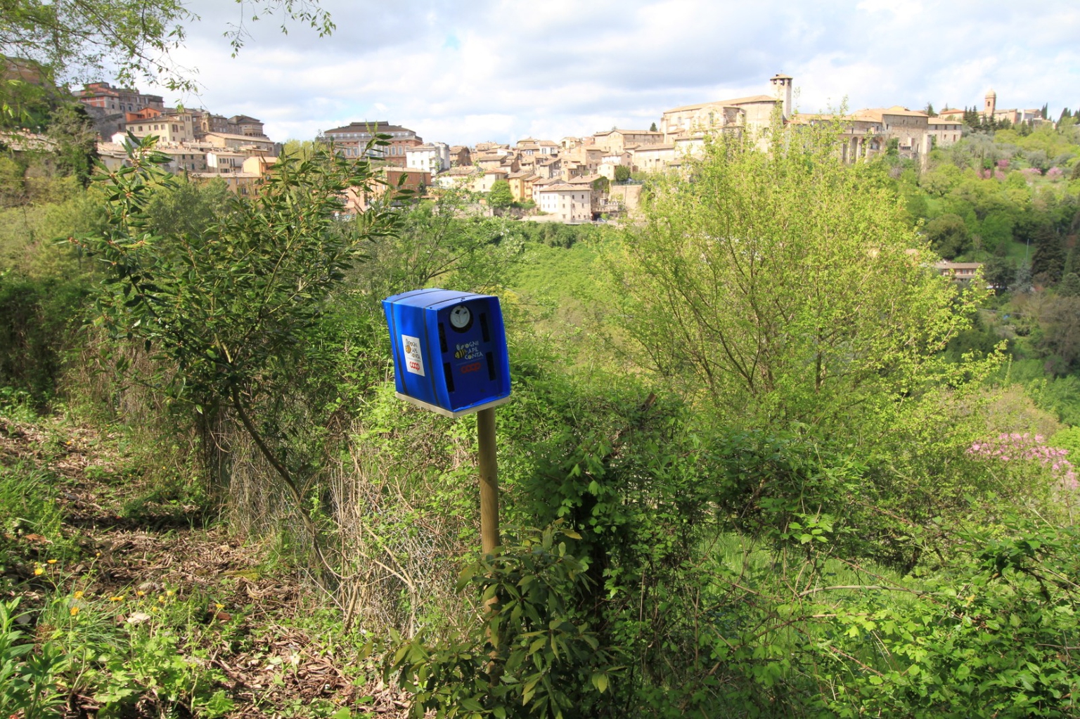 Il 20 maggio è la Giornata mondiale delle api - LifeGate