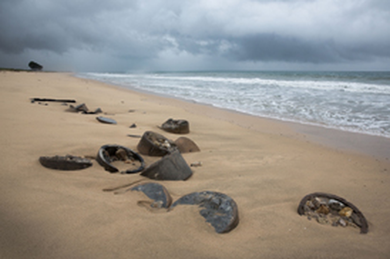 Land grabbing in Myanmar. Qui il fenomeno è usato anche come ...