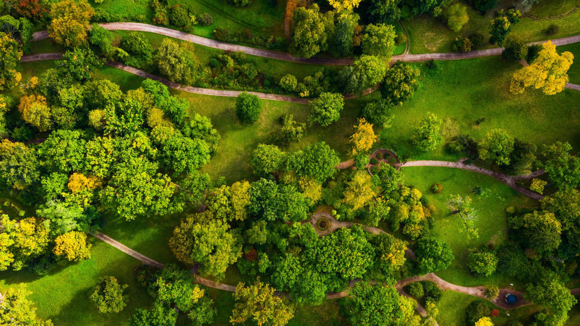 Biofilia: il significato profondo tra uomo e natura - LifeGate