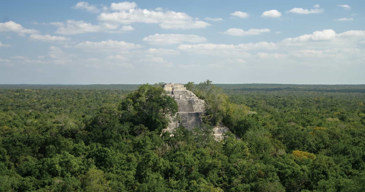 Un'antica città Maya è stata scoperta per caso nella giungla del ...