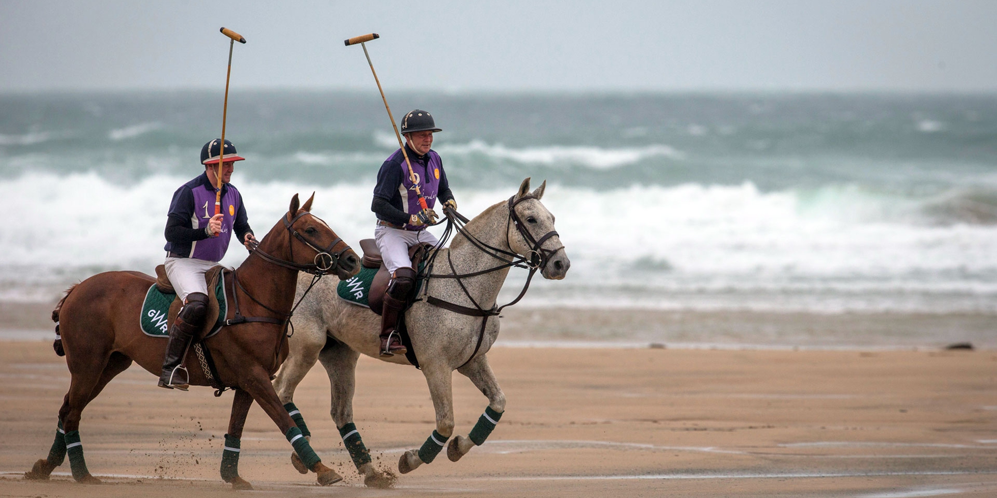 Il cavallo sportivo non finirà al macello - LifeGate