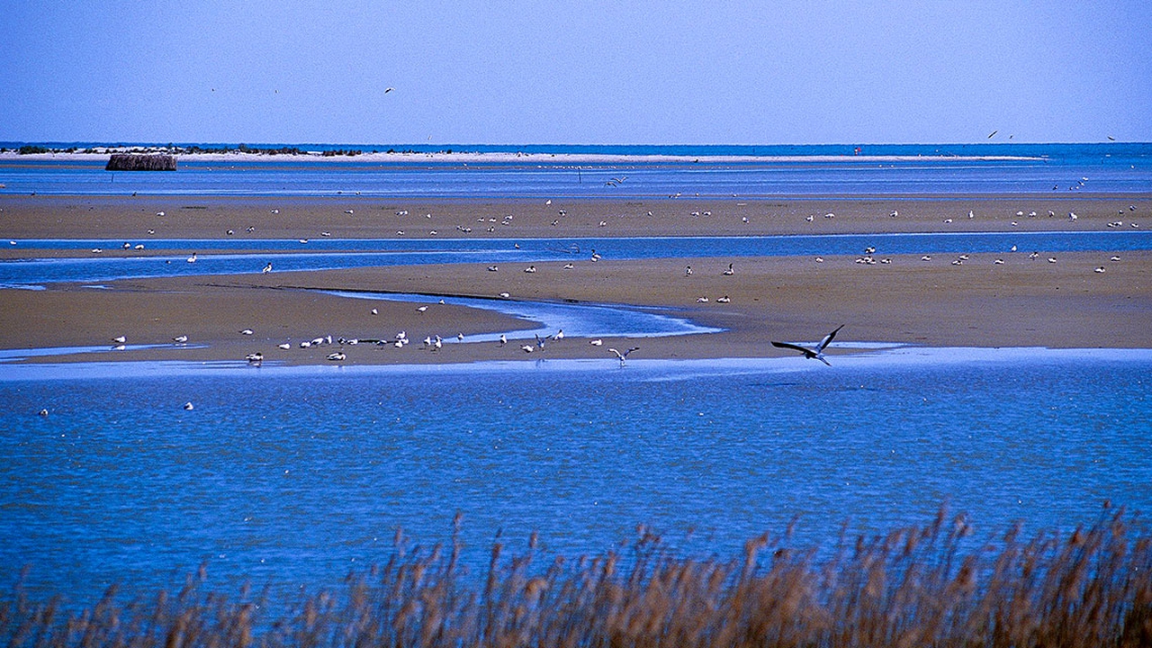 Delta del Po - LifeGate