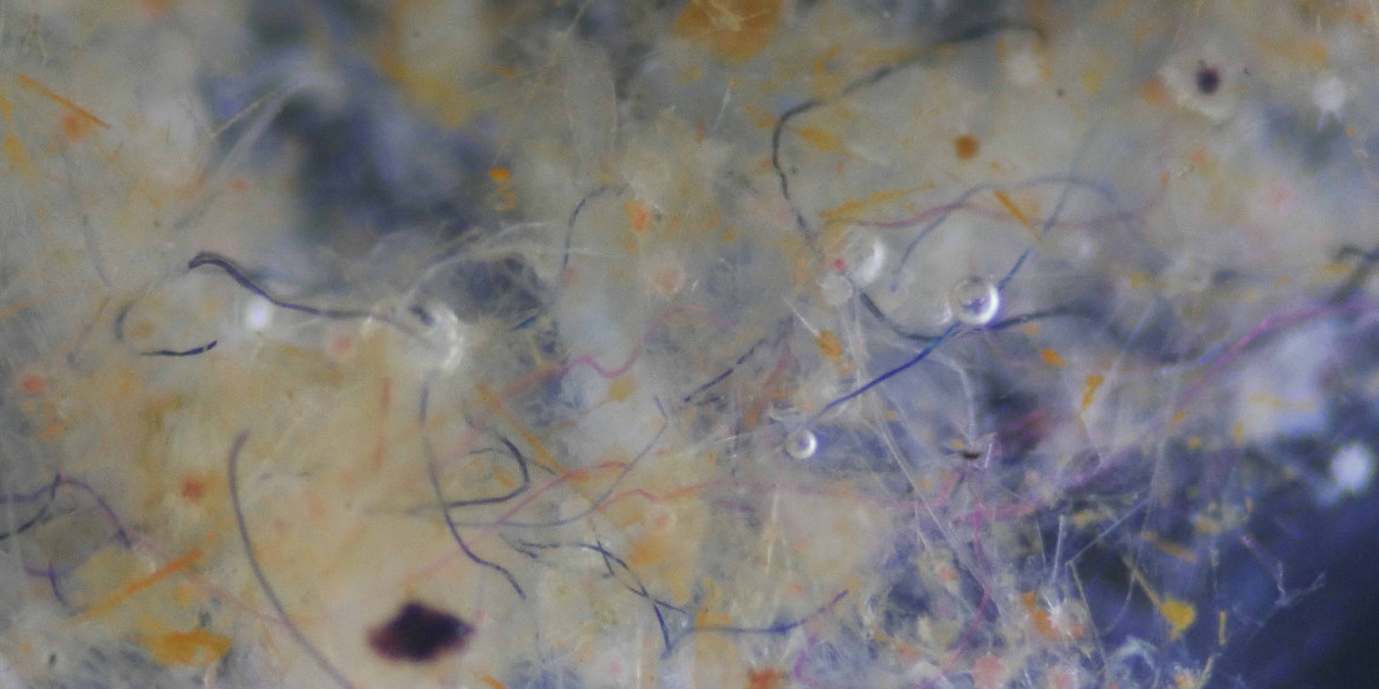 In mare ci sono più microfibre di origine naturale che sintetica - LifeGate