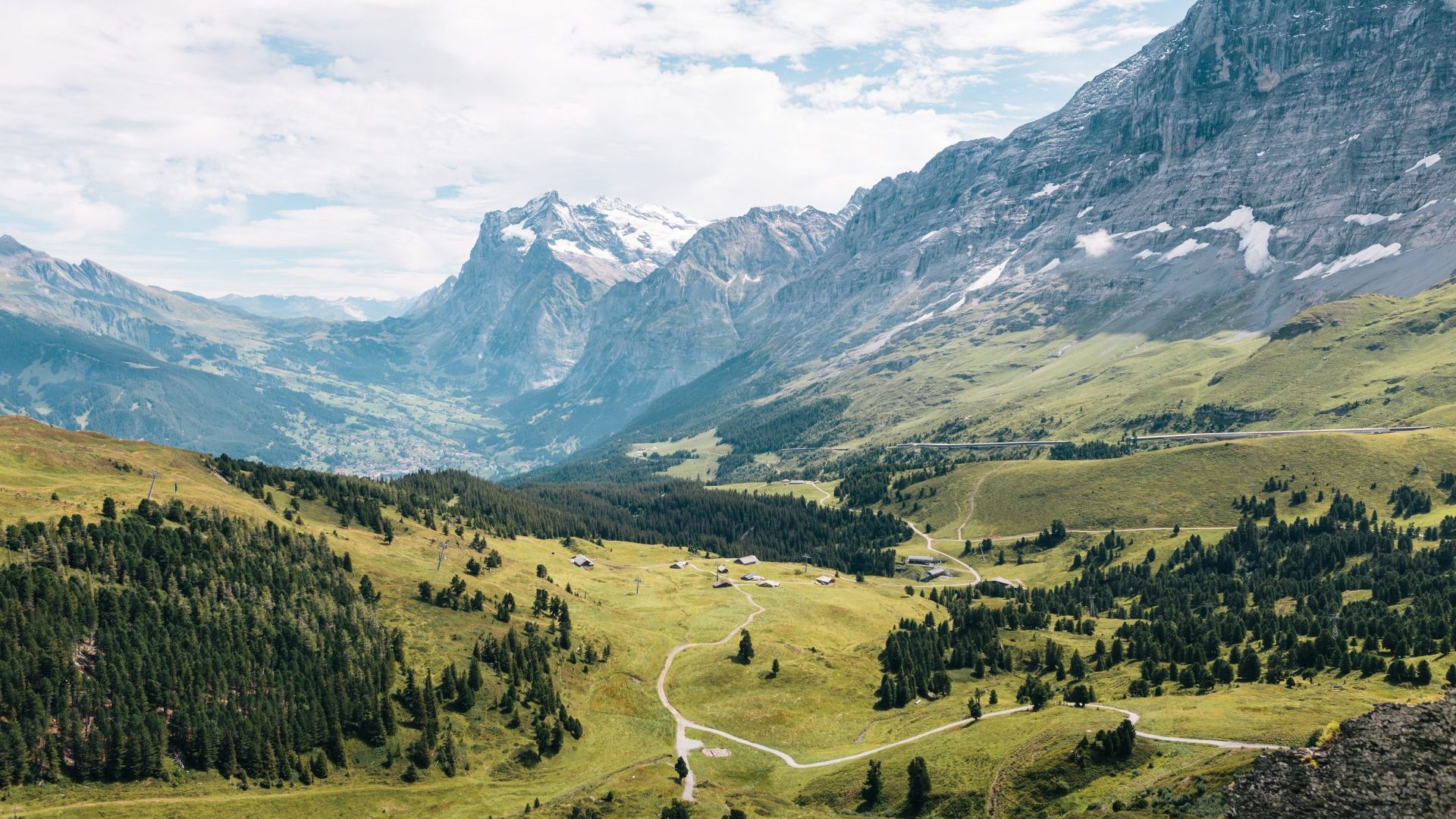 Le piante e gli animali delle Alpi che rischiano di scomparire - LifeGate