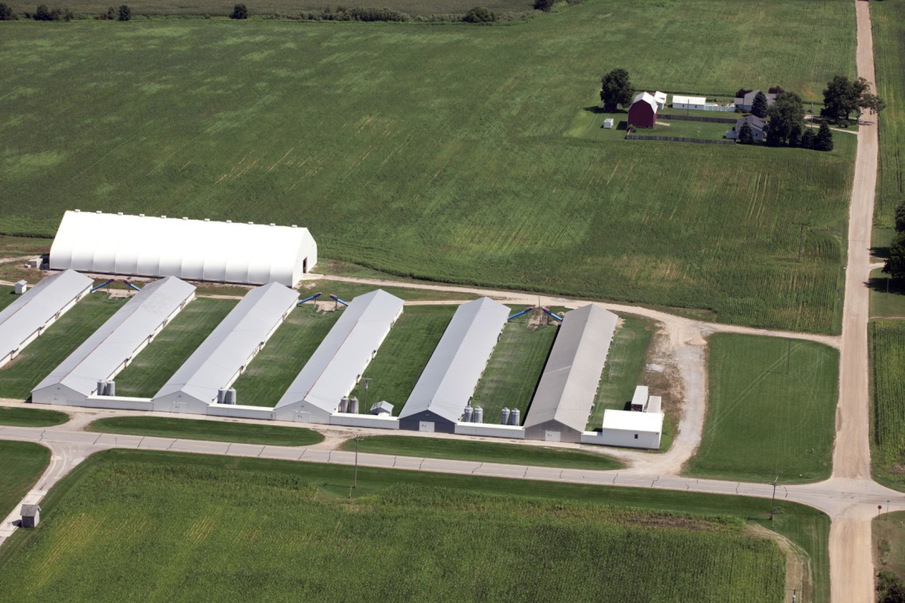 The Cornucopia Institute - LifeGate