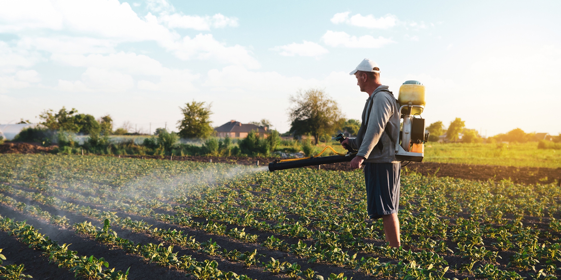 Pesticidi e Parkinson: uno studio identifica dieci sostanze coinvolte ...