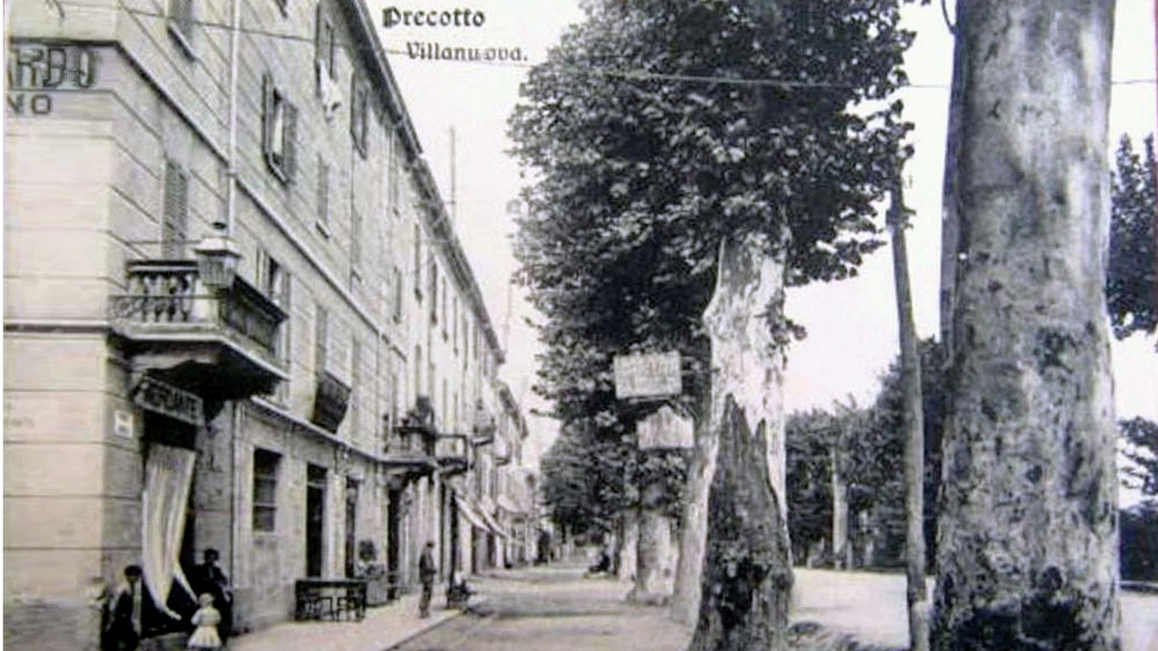 C’erano alberi in corso Buenos Aires. Immagini di una Milano sparita ...