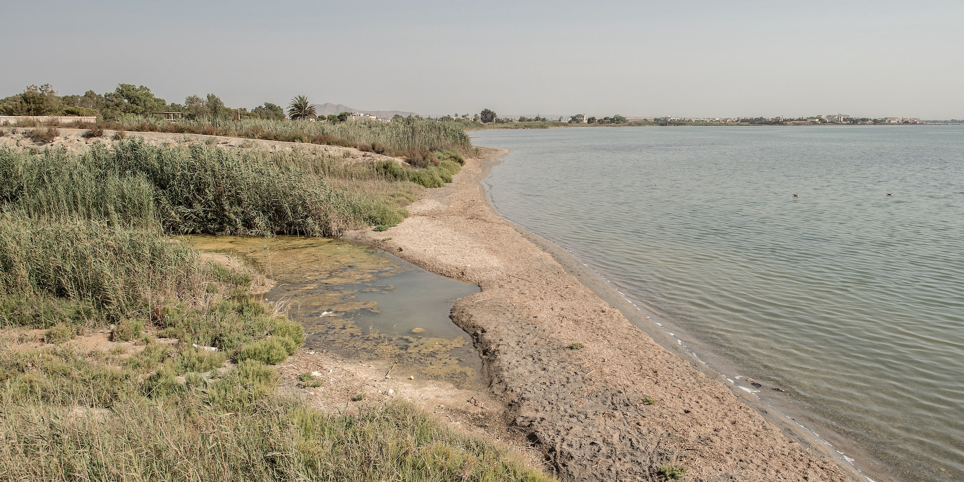 Spagna, concessa la personalità giuridica al Mar Menor - LifeGate