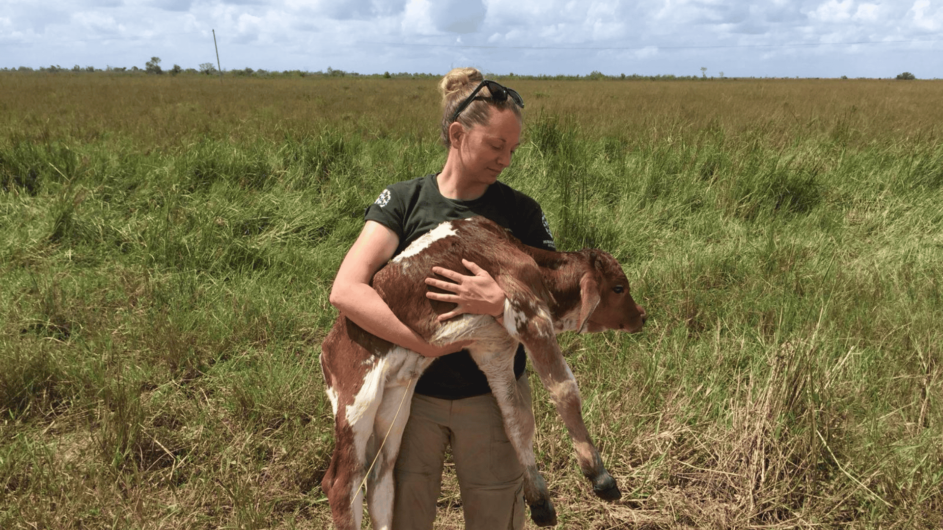 Humane world ofr animals: - LifeGate