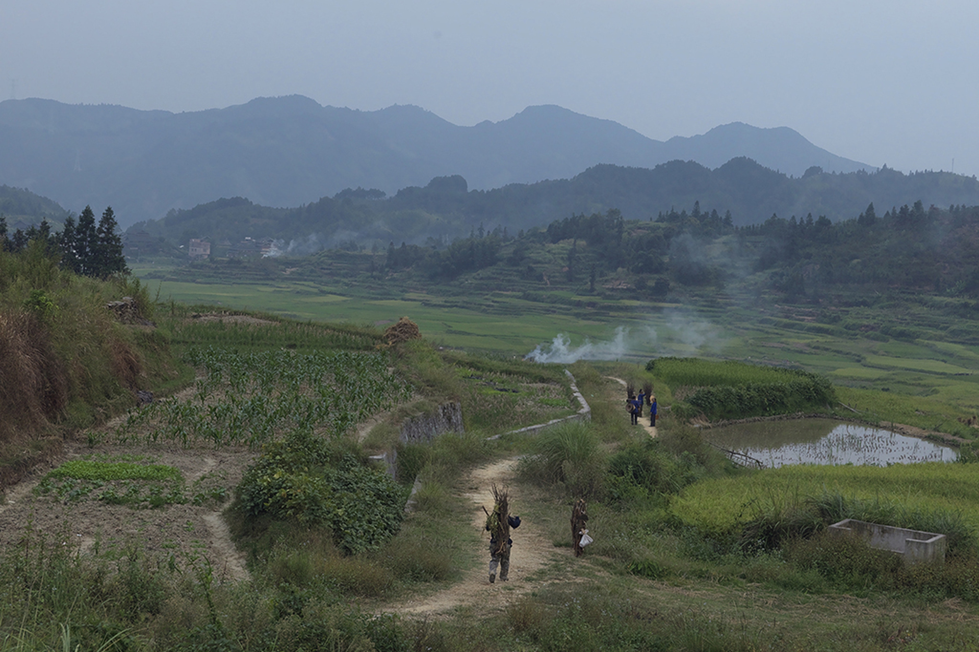 Food for life, Greenpeace exhibits sustainable farming - LifeGate