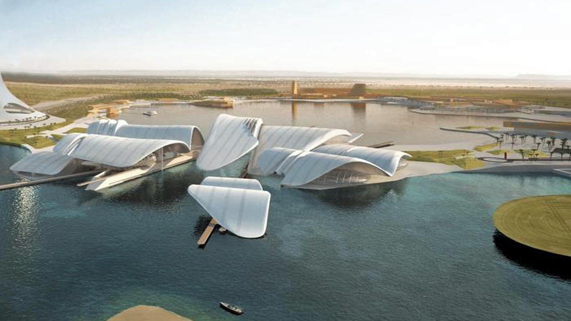 Marine treasures to be shown at the QUAM, the world’s largest ...
