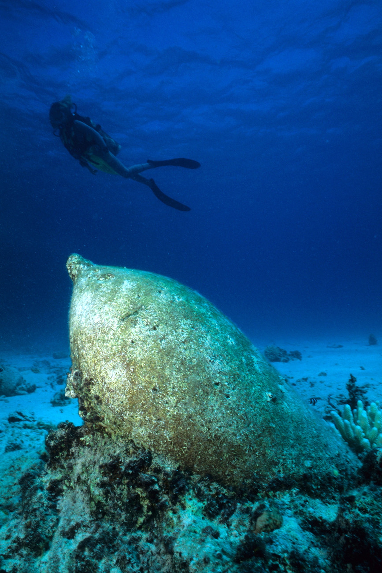 Alla scoperta di Zabargad, un paradiso nel mar Rosso - LifeGate