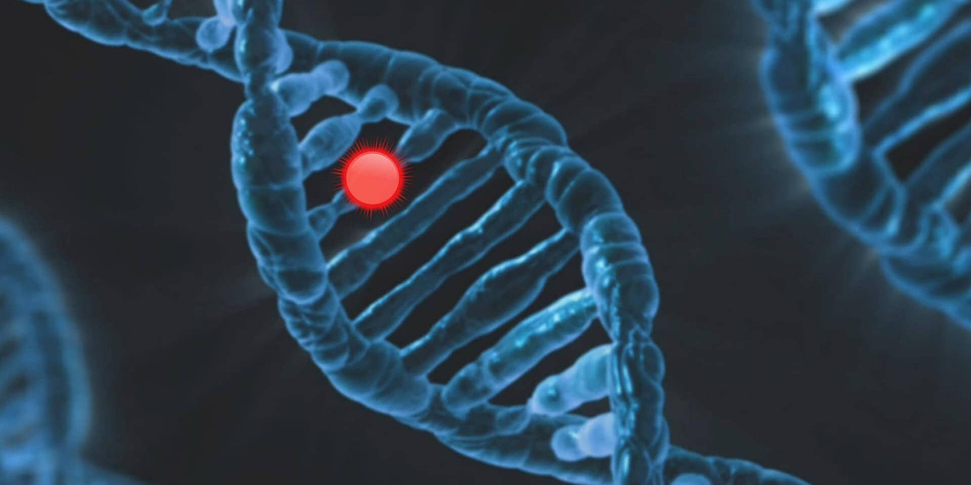 GenoGra, la startup che vuole rendere la genomica accessibile