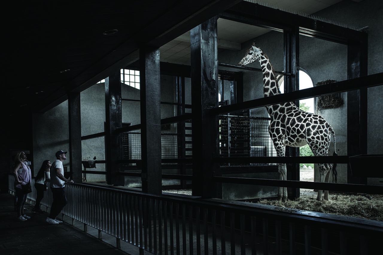 Animals in European zoos - in pictures - LifeGate