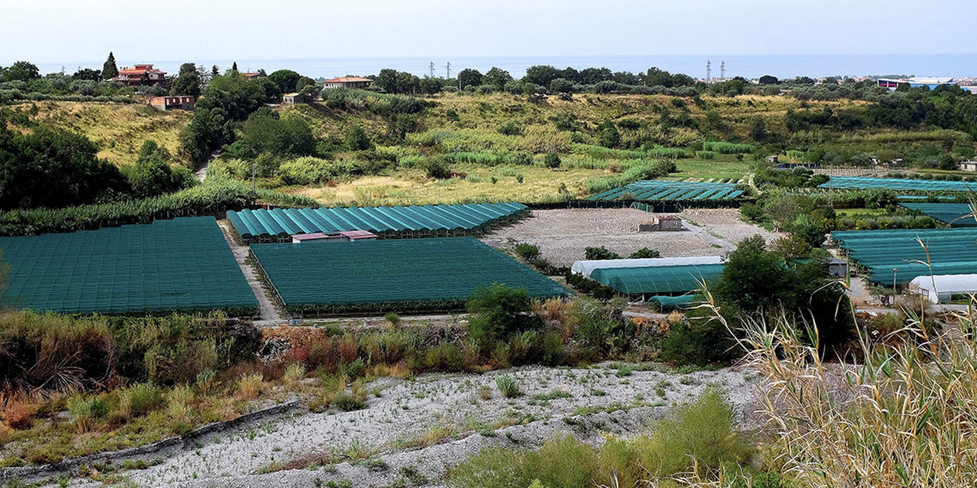 Glifosato, dalla Calabria niente più soldi alle aziende agricole che lo ...