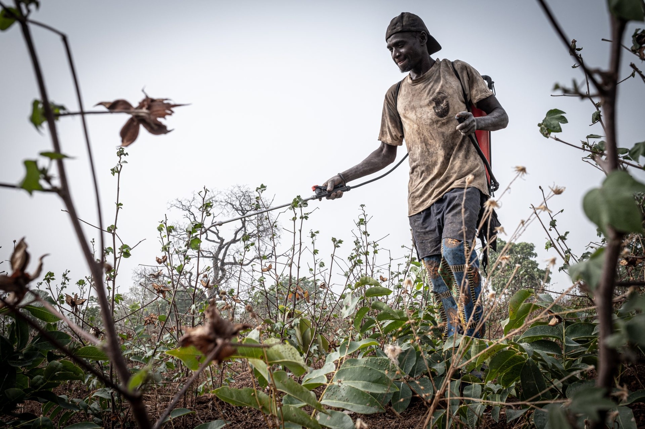 Benin is the new jihadist front in Africa - LifeGate