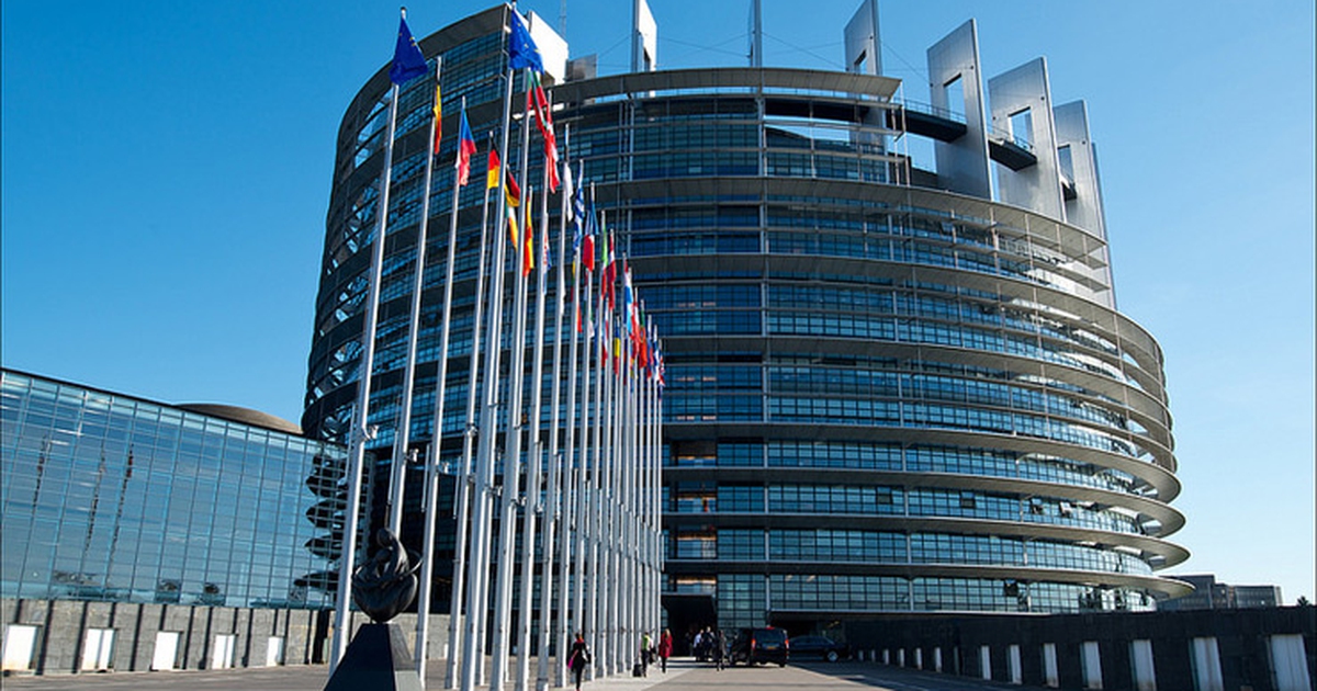 Il voto che decide il nostro futuro, intervista a Fabrizio Spada - LifeGate