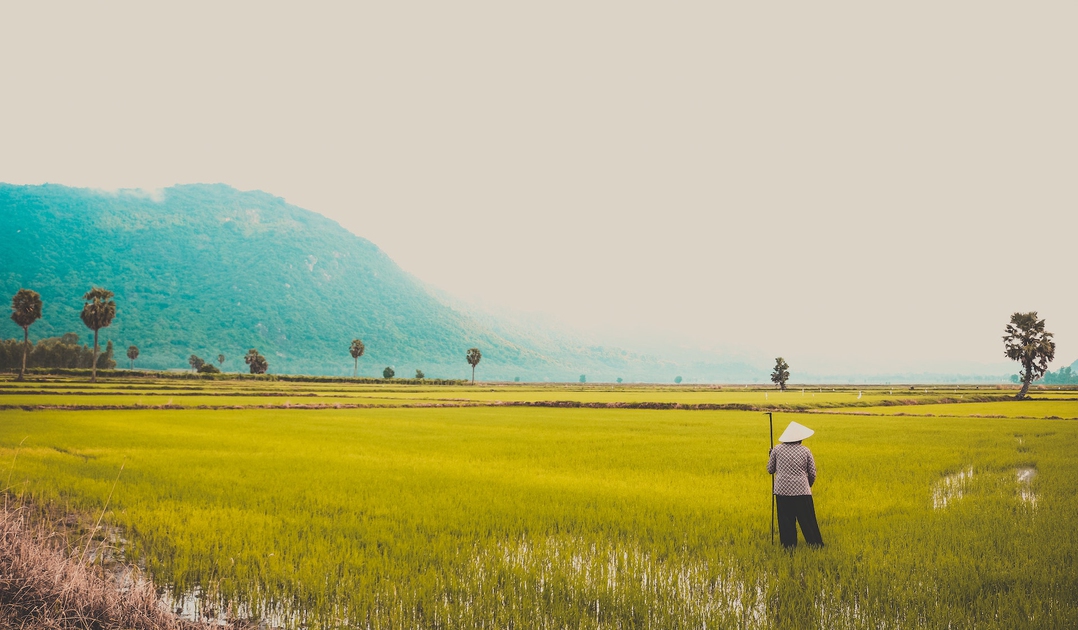 Sofa 2021. Servono sistemi agroalimentari resistenti agli shock - LifeGate