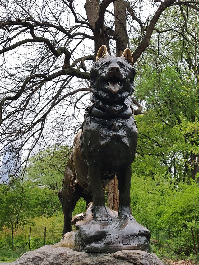 La statua di Balto a New York - LifeGate