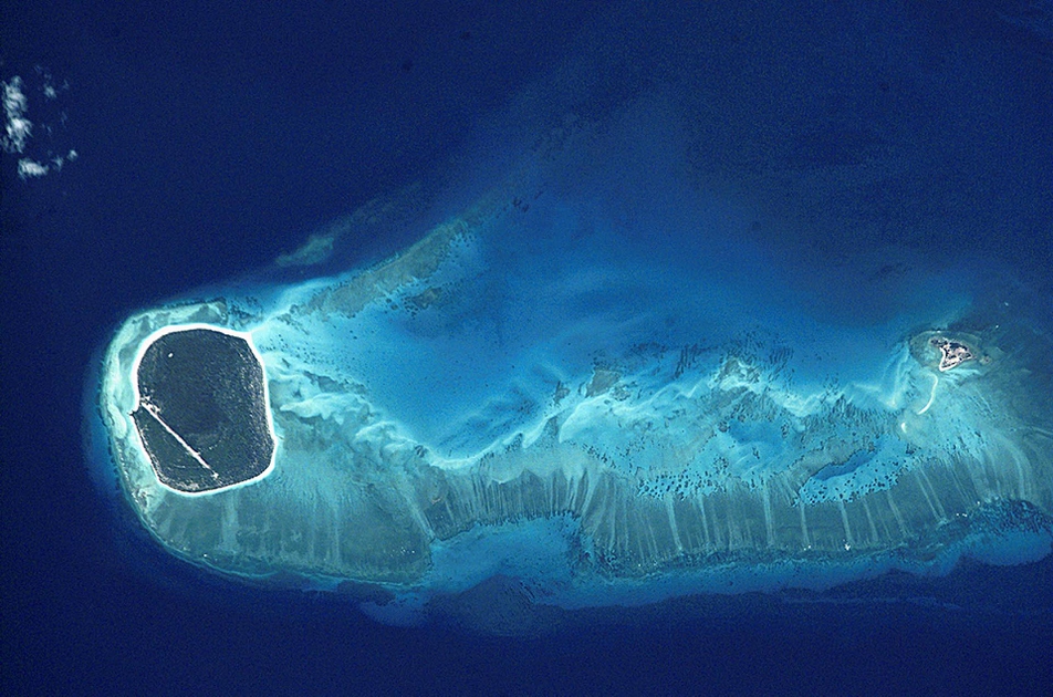 Historic High Seas Treaty signed to protect the world's oceans - LifeGate