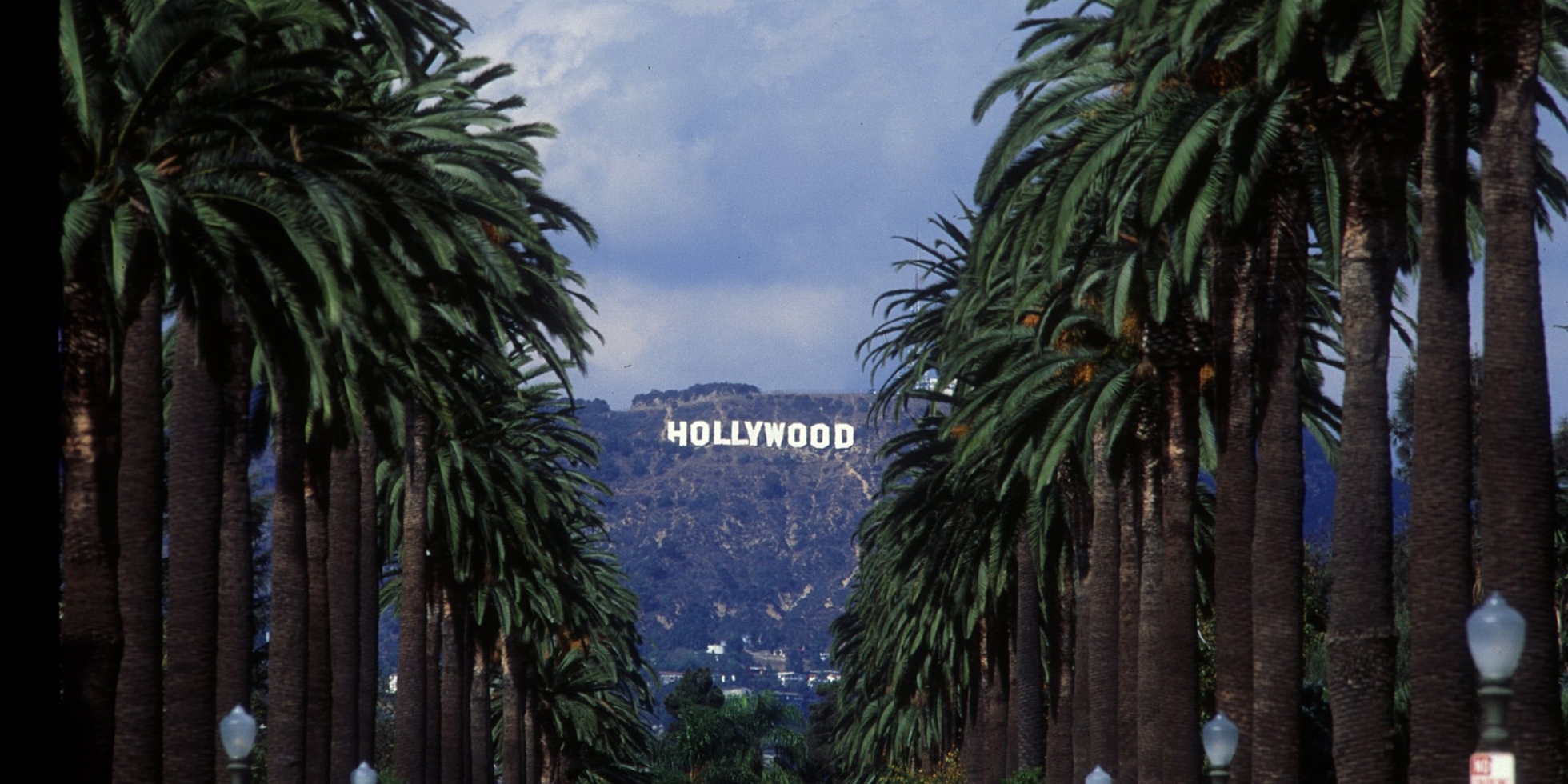 Perché nei quartieri americani poveri ci sono meno alberi e temperature ...