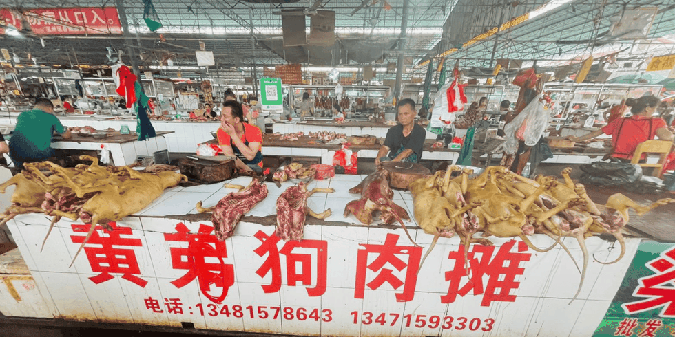 Al via il festival di Yulin con il solstizio d'estate - LifeGate