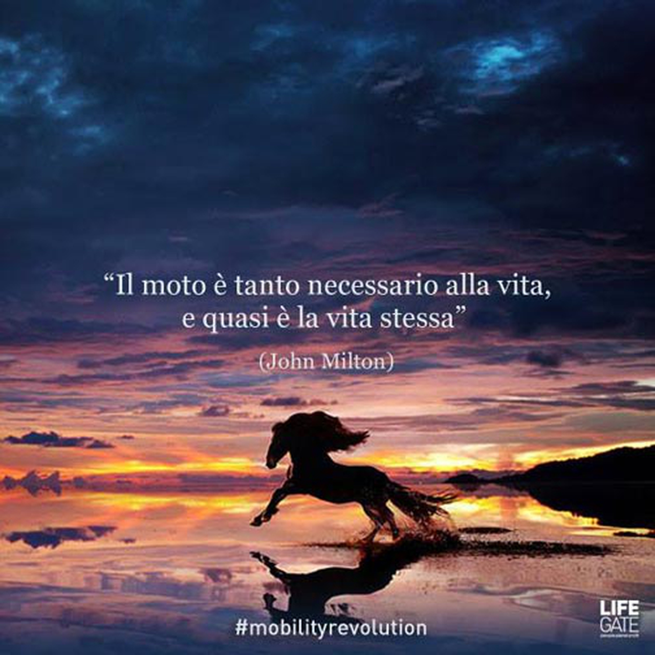 Le citazioni più belle per sempre - LifeGate