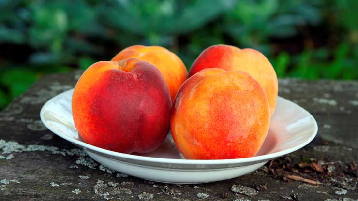 Taste of peach - LifeGate
