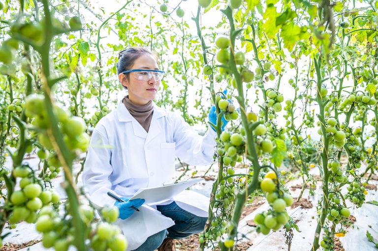 Cosa sono le tecniche di evoluzione assistita (Tea) in agricoltura: la parola agli esperti ...