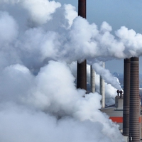 Inquinamento ambientale: tipi, cause, effetti e soluzioni - LifeGate