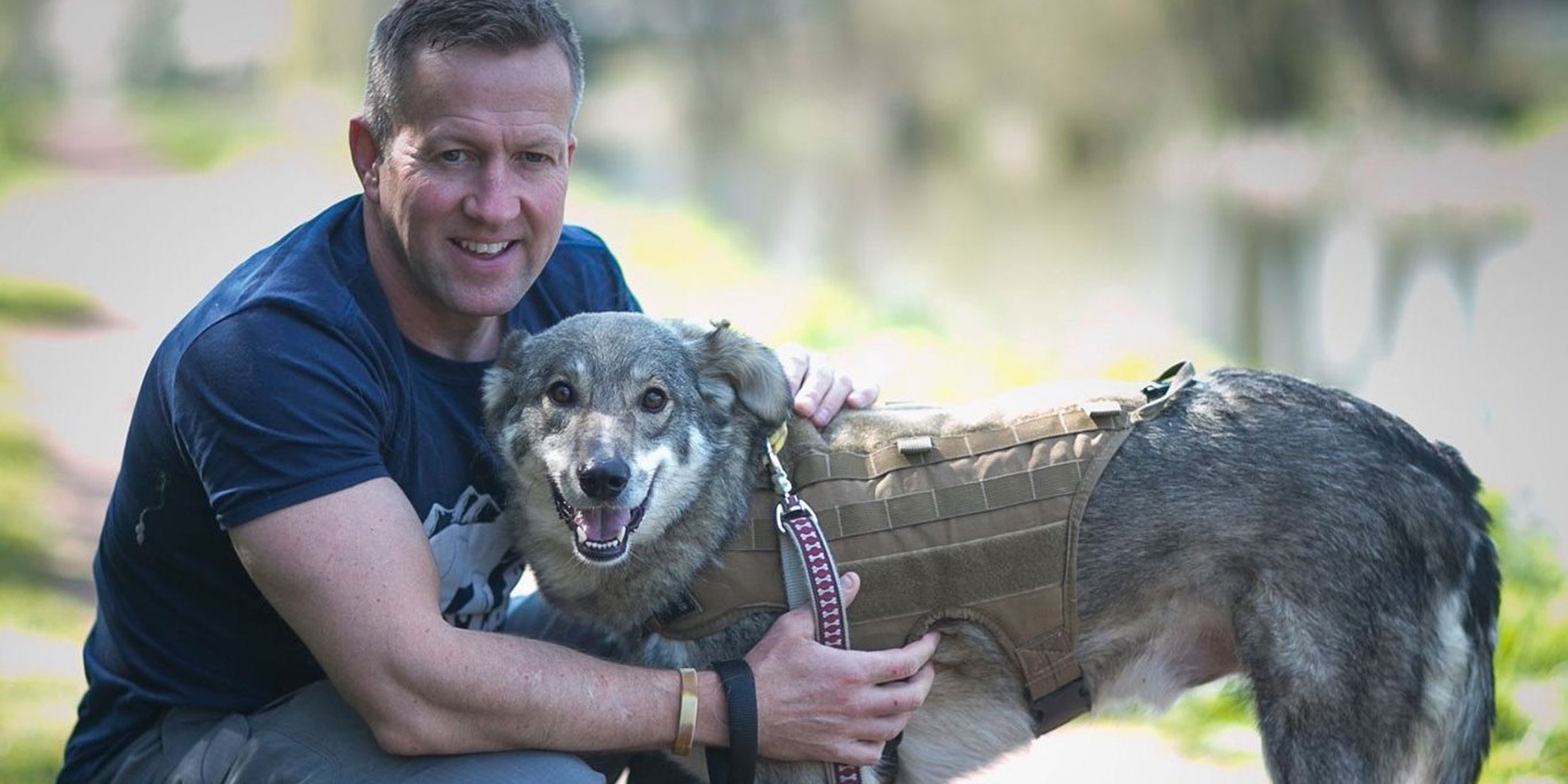 Salvate i miei colleghi: parla il marine che cura gli animali dell ...