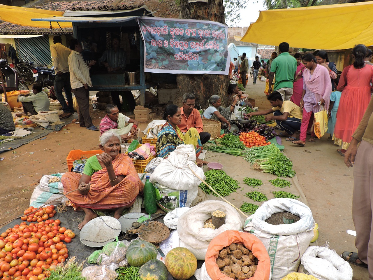 Organic farming is changing the lives of tribal peoples in India, and ...
