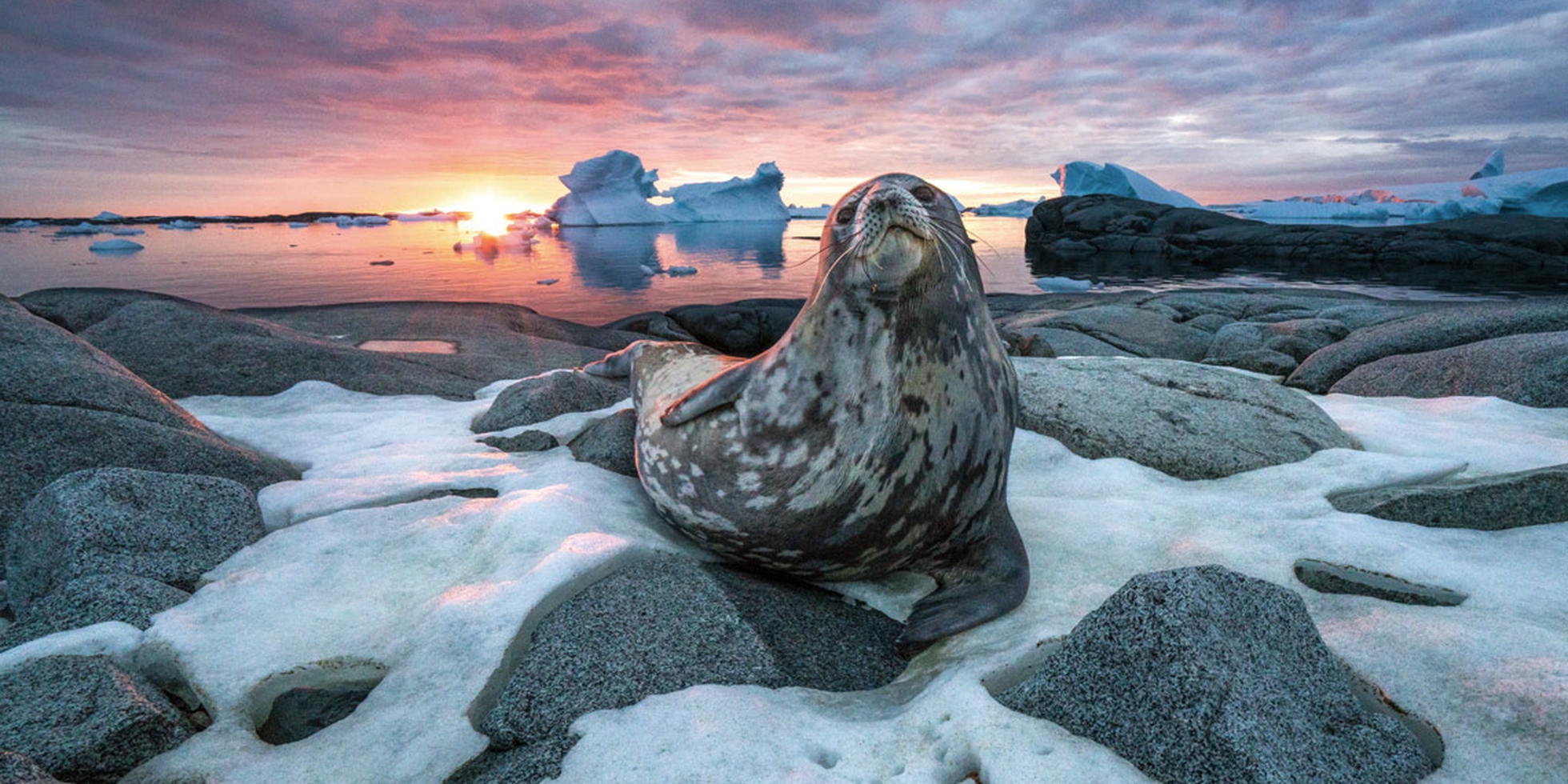 Ocean photography awards, un concorso per riflettere sulle minacce agli ...