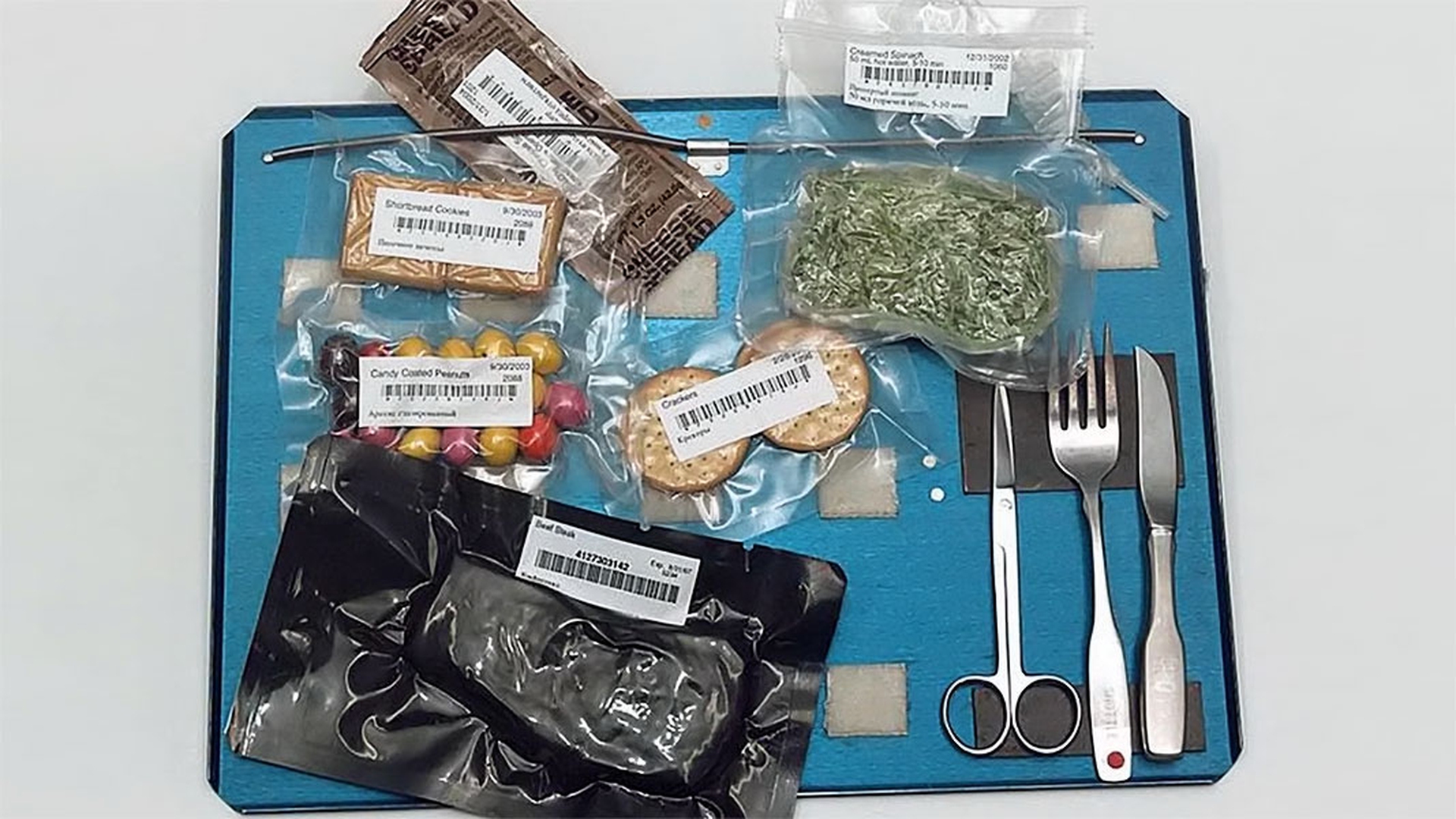 What astronauts can and can't eat in space - LifeGate