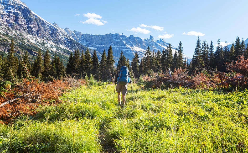 Why mountain areas are essential for sustainable development - LifeGate